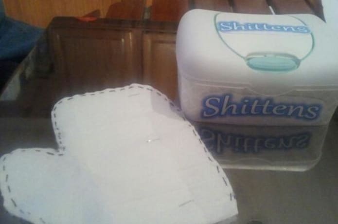 Shittens | Indiegogo