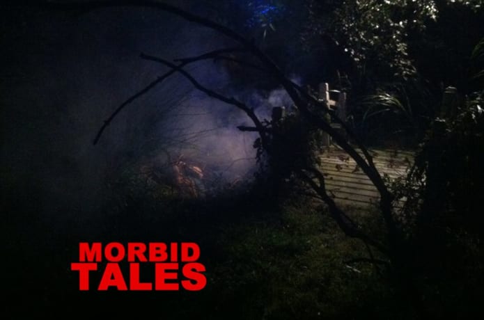 Morbid Vision Films: Cryptic Plasm DVD | Indiegogo