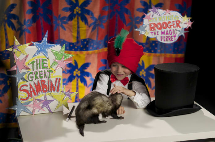 The Magic Ferret | Indiegogo
