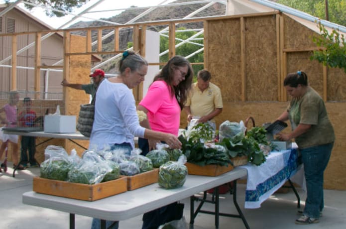 Blue Lizard Farm, Project Hoop House | Indiegogo