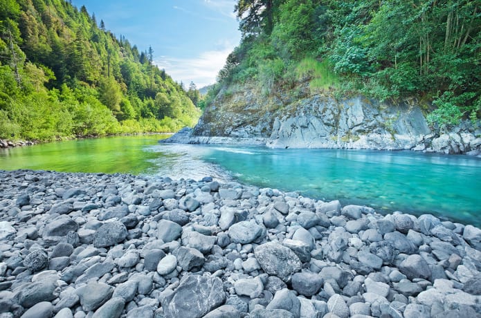 Help Us Save Blue Creek | Indiegogo