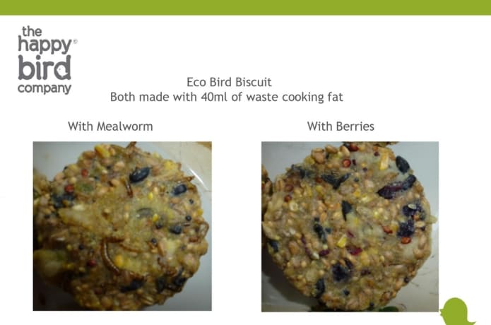Eco Bird Biscuit | Indiegogo