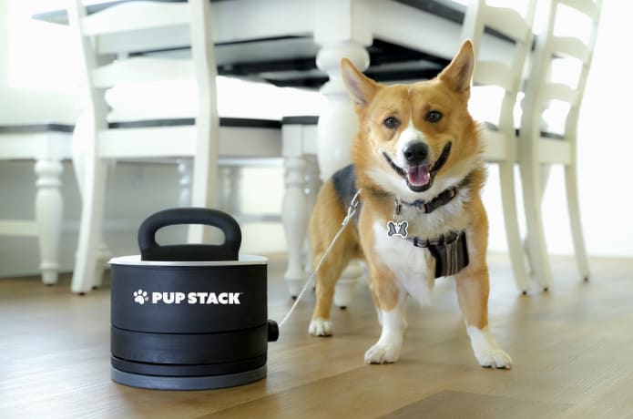 Pup Stack Indiegogo 