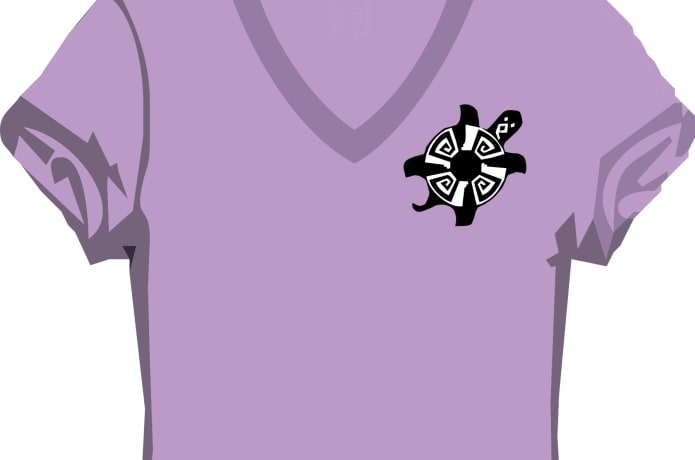 Hopi Spider Initiative | Indiegogo