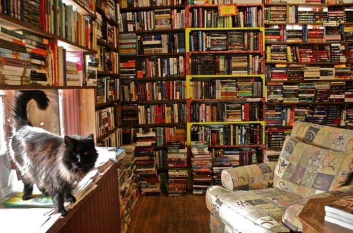 A NEW HOME FOR THE BOOK HOUSE | Indiegogo