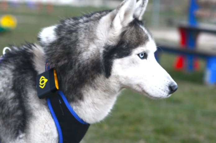 Smart Tracker 2: Track anything, anytime, anywhere | Indiegogo