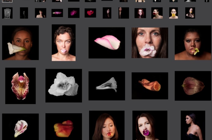 The Petal Project | Indiegogo