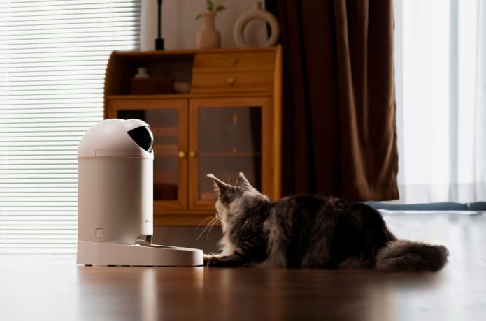Furspark Big Eye: AI-Powered Pet Sentry & Feeder | Indiegogo