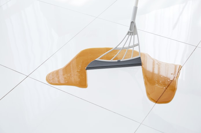 BROOMBI: Smart Broom with Quadruple Cleaning Power | Indiegogo