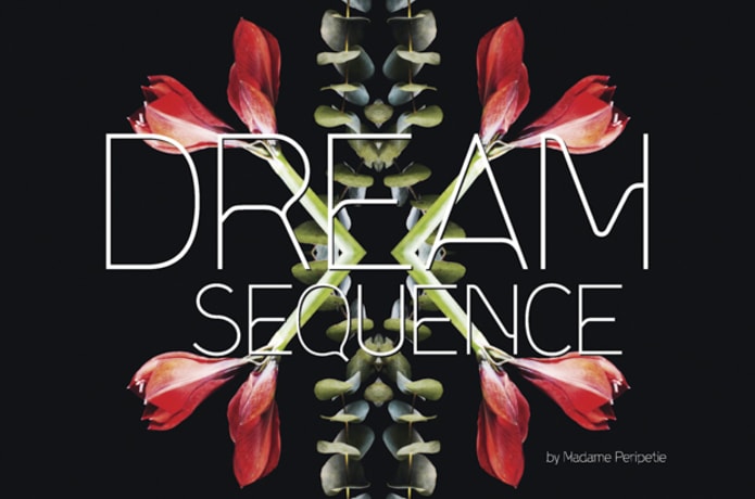 Dream Sequence | Indiegogo