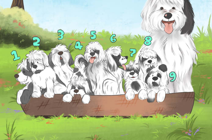The Adventures of Zammy the GIANT Sheepadoodle | Indiegogo