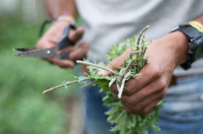 Inside Hackney | Indiegogo