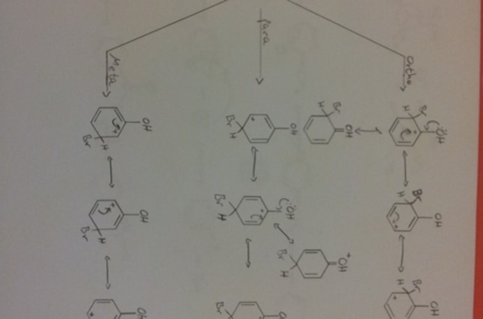 Easyshapes: Organic Chemistry Drawing Stencil | Indiegogo