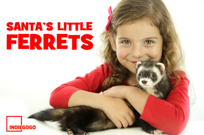 Santa's Little Ferrets | Indiegogo