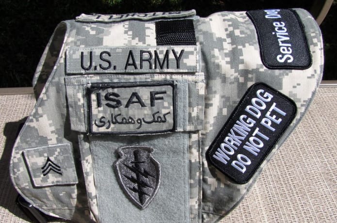 Dog Vests 4 Vets | Indiegogo