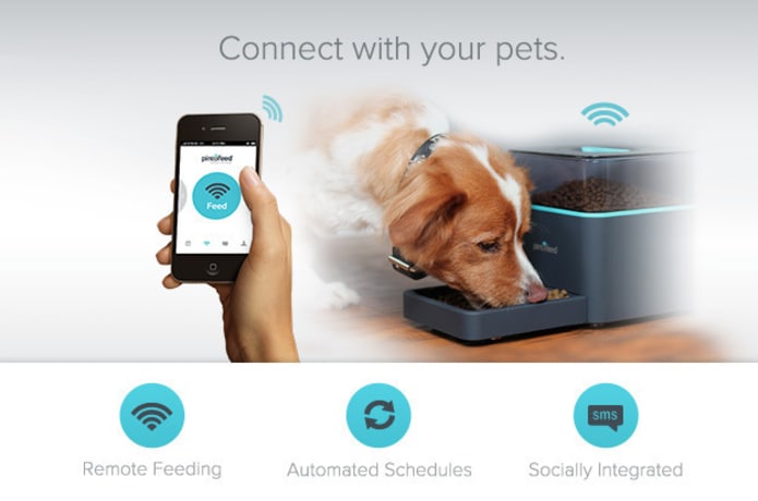 Feed Your Pet from Your Phone with Pintofeed. | Indiegogo