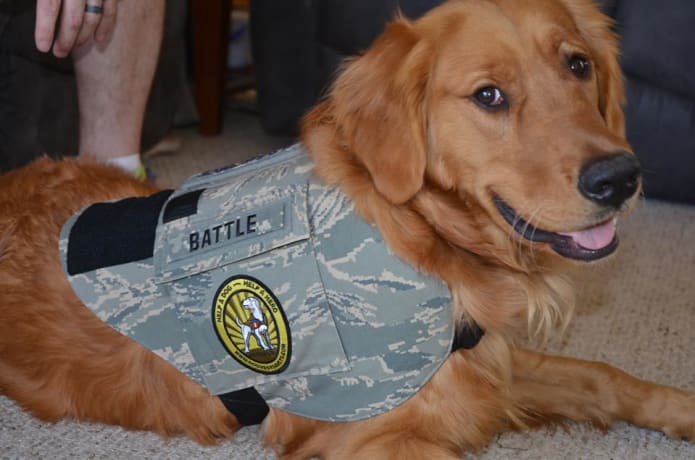 Dog Vests 4 Vets | Indiegogo