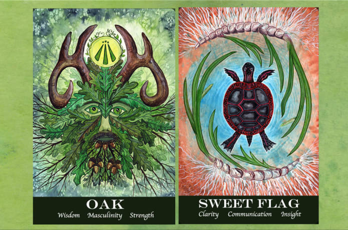 The Plant Spirit Oracle -Original 50 Card Deck | Indiegogo