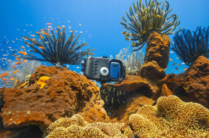 DIVEROID: Turn your smartphone into a Dive gear | Indiegogo