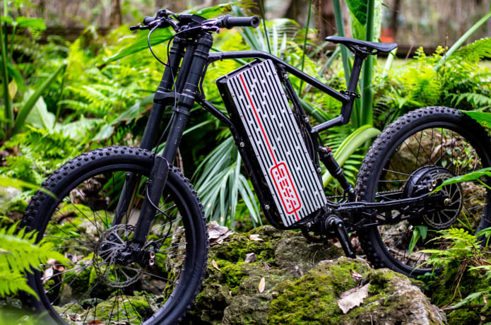 REVA Electric Bikes | Indiegogo