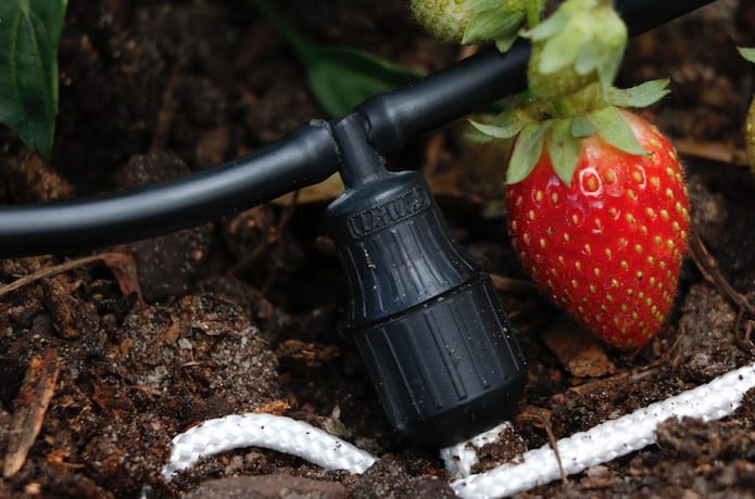 Wet-Wick Complete 3 in 1 Irrigation System | Indiegogo