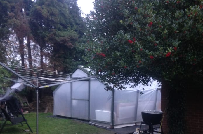 DuckPonics for Organic Vegtables and Fruit | Indiegogo