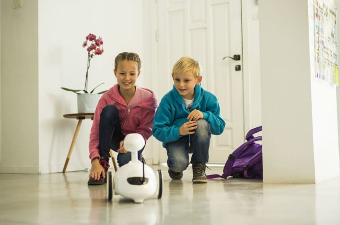 Robit - The World's Most Affordable Home Robot | Indiegogo