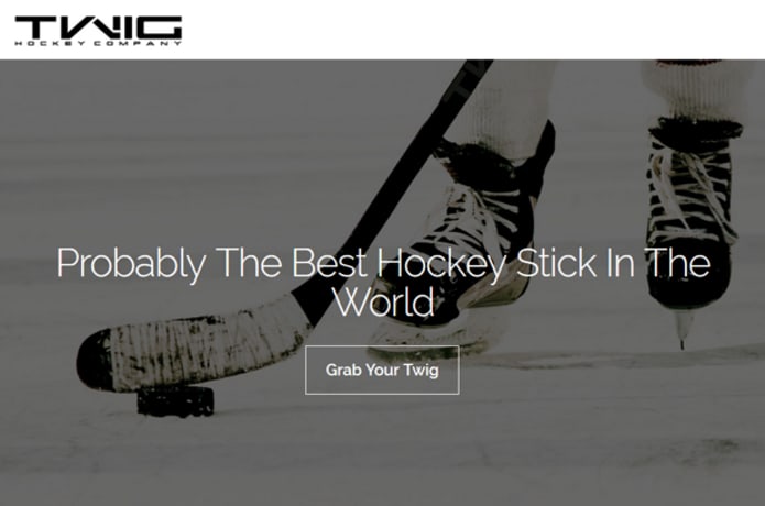 The Twig - Probably the Best Hockey Stick Ever... | Indiegogo