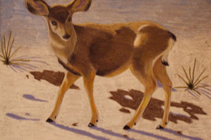 DRAGON IN THE POST | Indiegogo