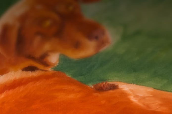 CREATIVE PET PROJECT - ART SAVES ANIMALS | Indiegogo