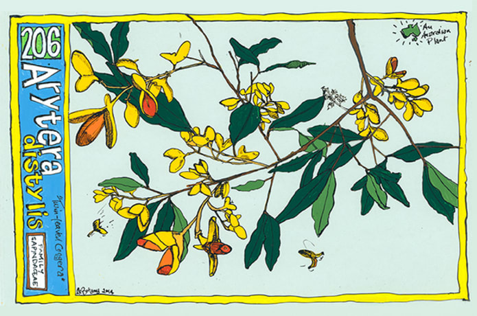 Tim Roberts: first exhibition & book launch | Indiegogo