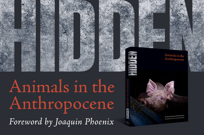 HIDDEN: Animals in the Anthropocene, by We Animals | Indiegogo