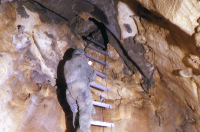 Fern Cave: The Discovery, Exploration, and History of Alabama's ...
