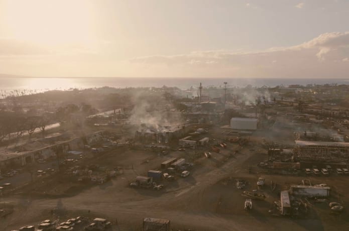 LAHAINA - Rising From the Ashes | Indiegogo