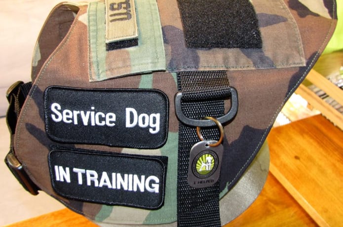 Dog Vests 4 Vets | Indiegogo