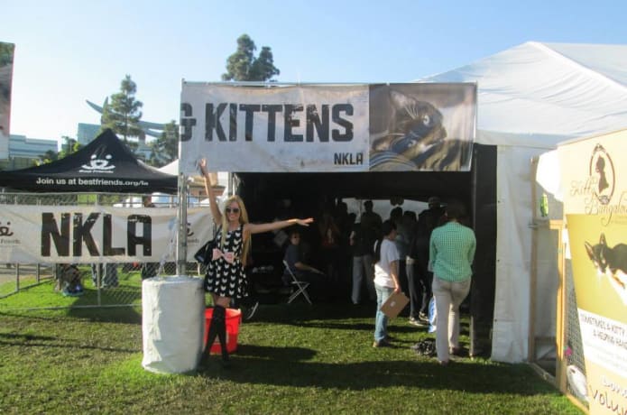 The Cat Club Rescue Center | Indiegogo