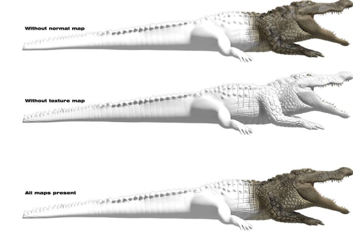 The ultimate croc anatomy | Indiegogo