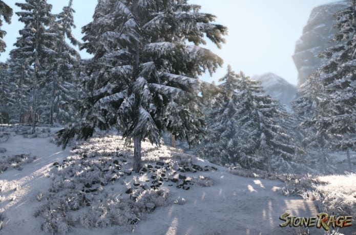 Stone Rage | Indiegogo