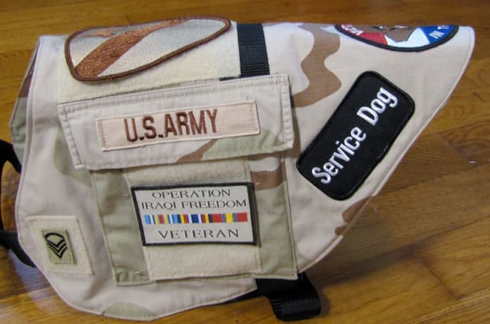 Dog Vests 4 Vets | Indiegogo