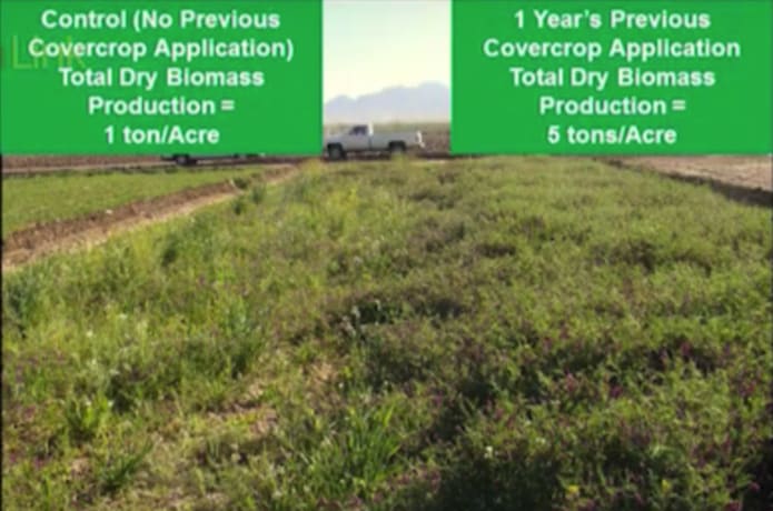 Easy Grow Food - Seed Rope & Bionoc | Indiegogo