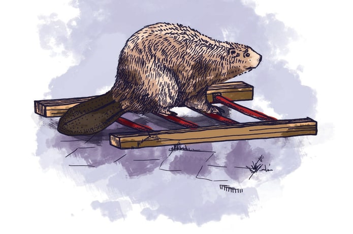 The Weasel Game | Indiegogo