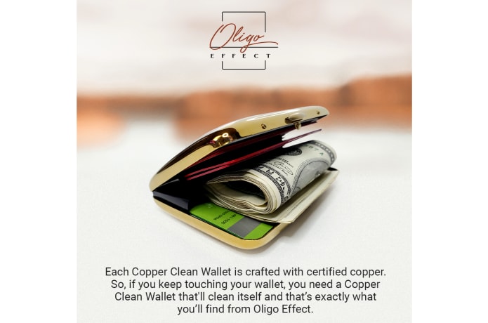 COPPER CLEAN WALLET | Indiegogo